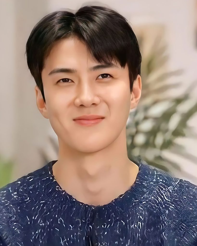 EXO Members Profile, Ages, Heights, & (Updated Facts!)