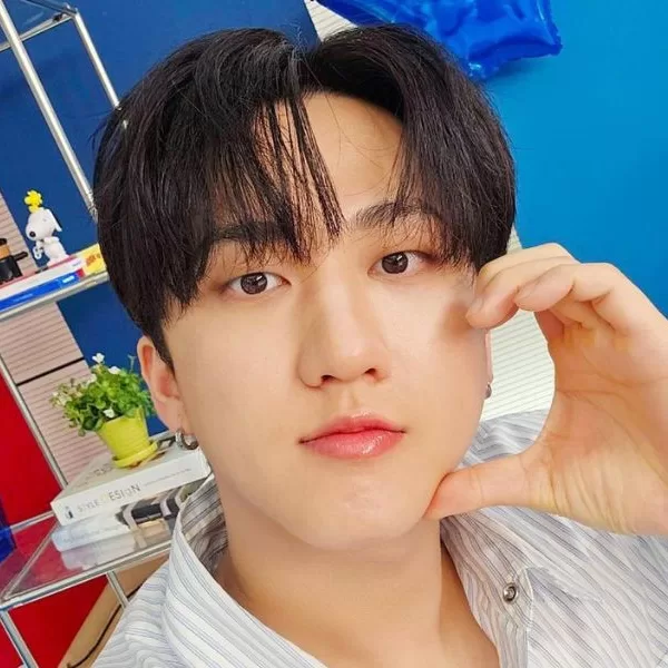 Perfil de Changbin (Stray Kids) (fatos atualizados!) - Cantores Kpop