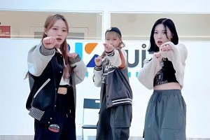 2NE1 Members Profile, Ages, Heights, & (Updated Facts!)