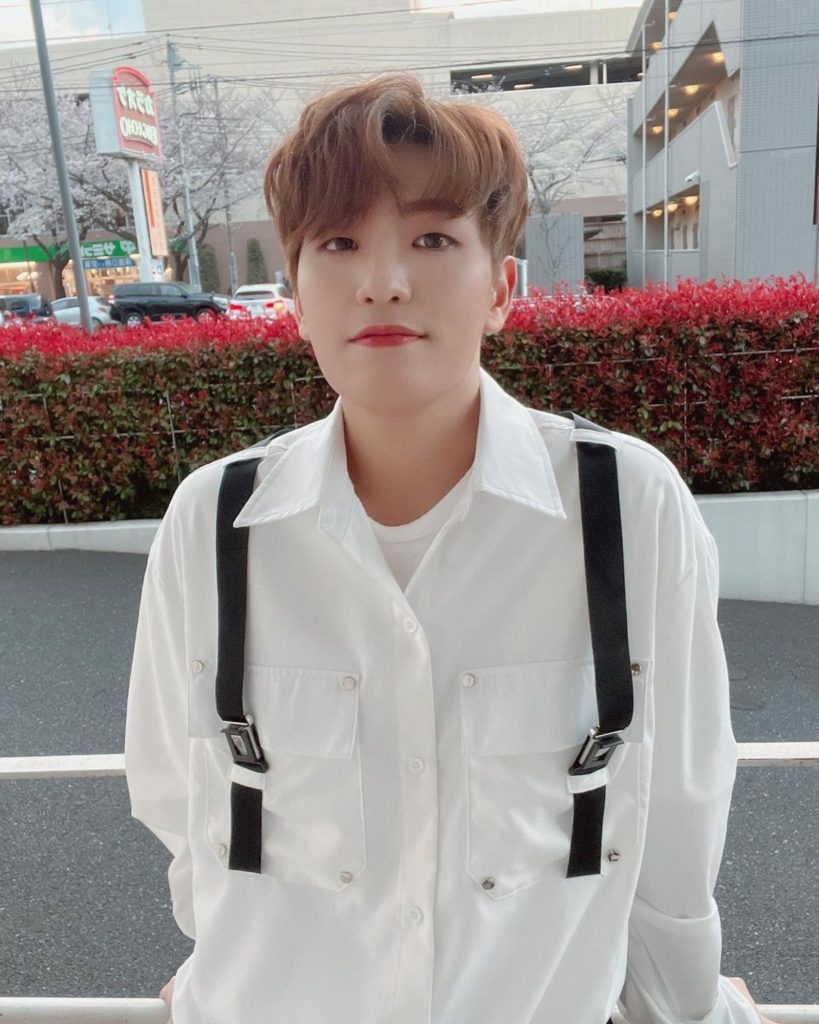 Build Up: Vocal Boy Group Survivor Contestants Profile