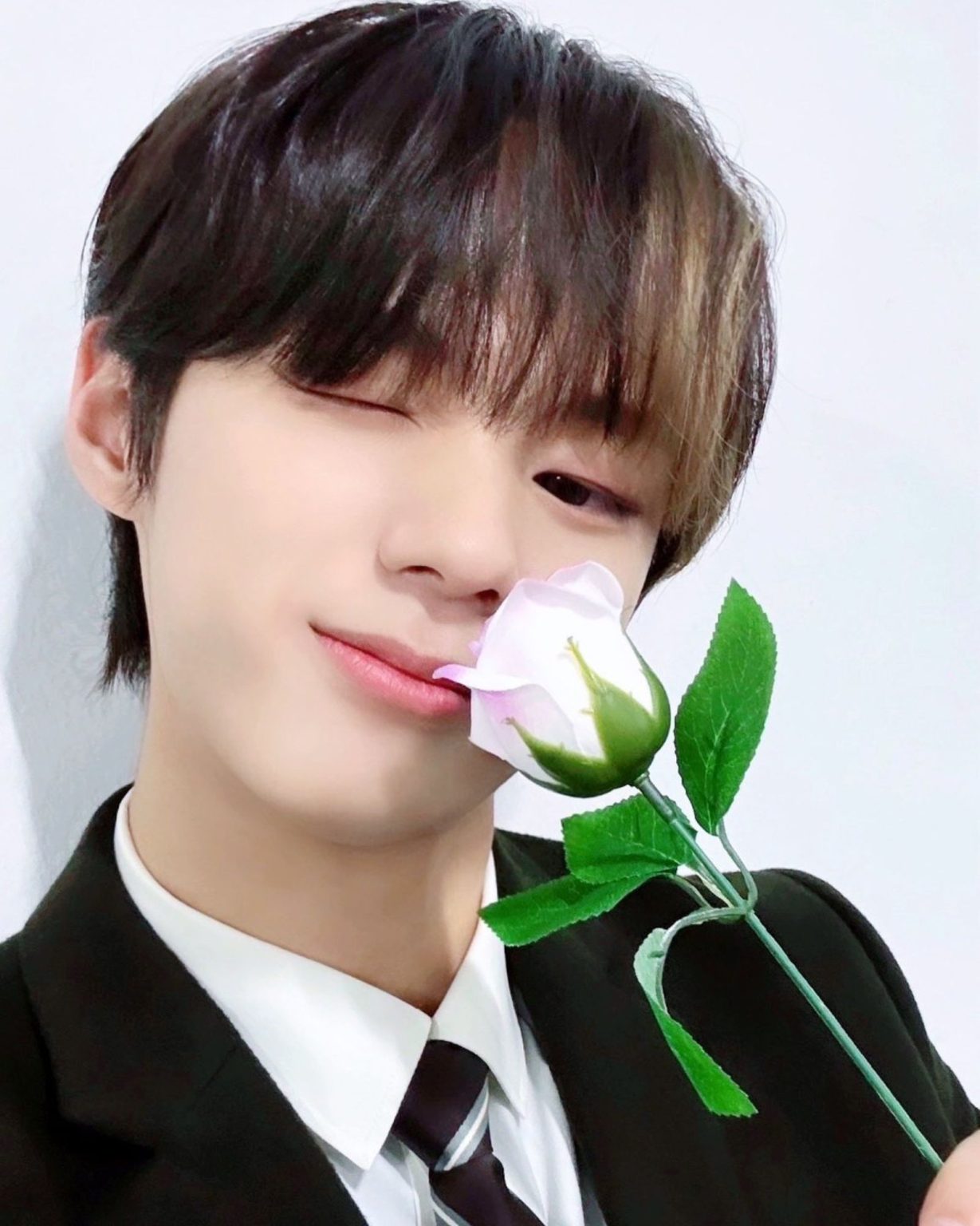 NCHIVE Members Profile, Ages, Heights, & (Updated Facts!)