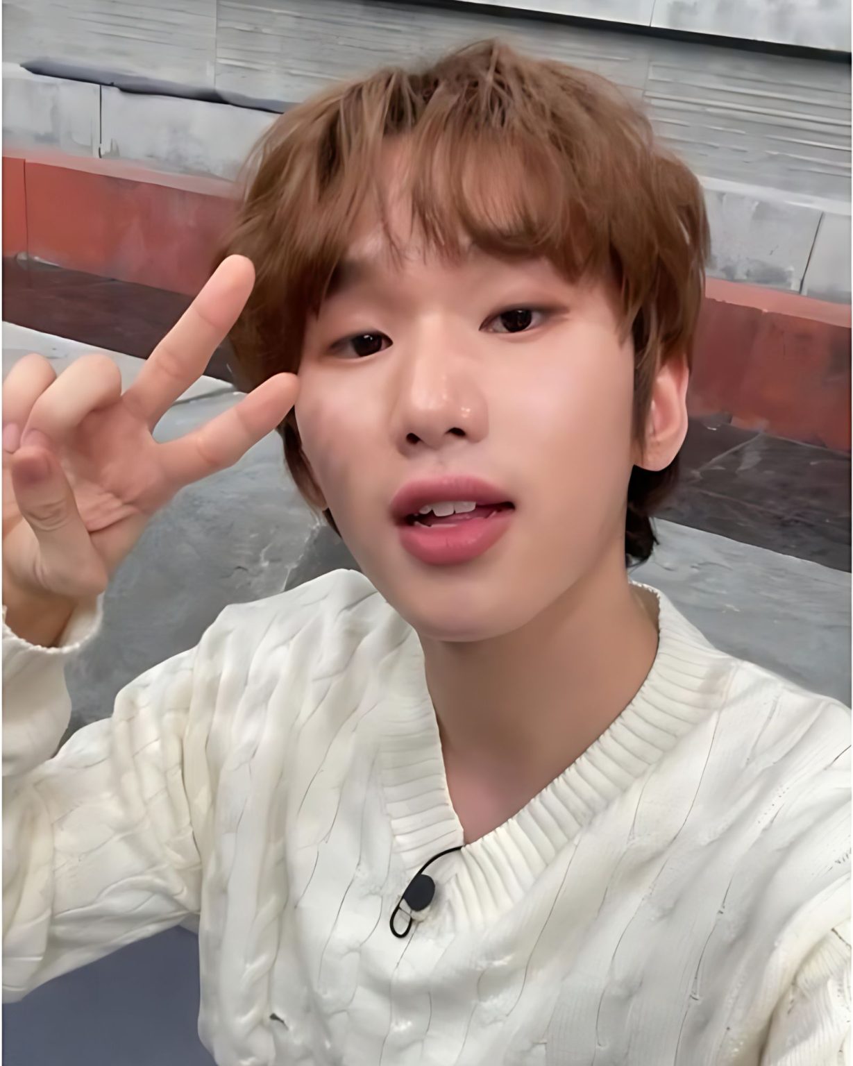 Build Up: Vocal Boy Group Survivor Contestants Profile