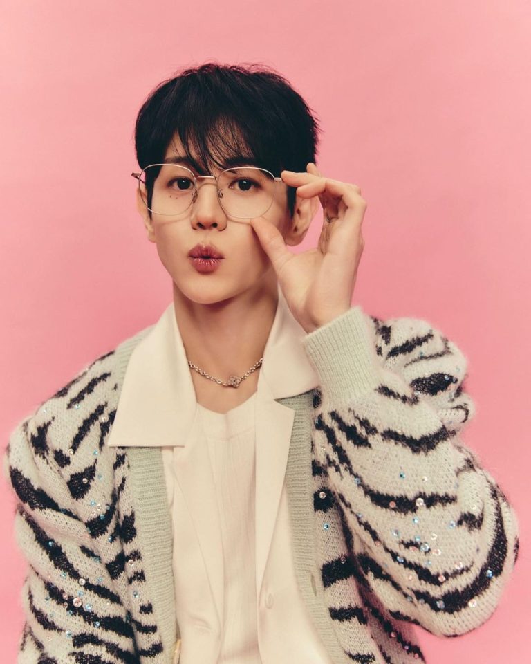 HIGHLIGHT (BEAST) Members Profile, Ages, & (Updated Facts!)