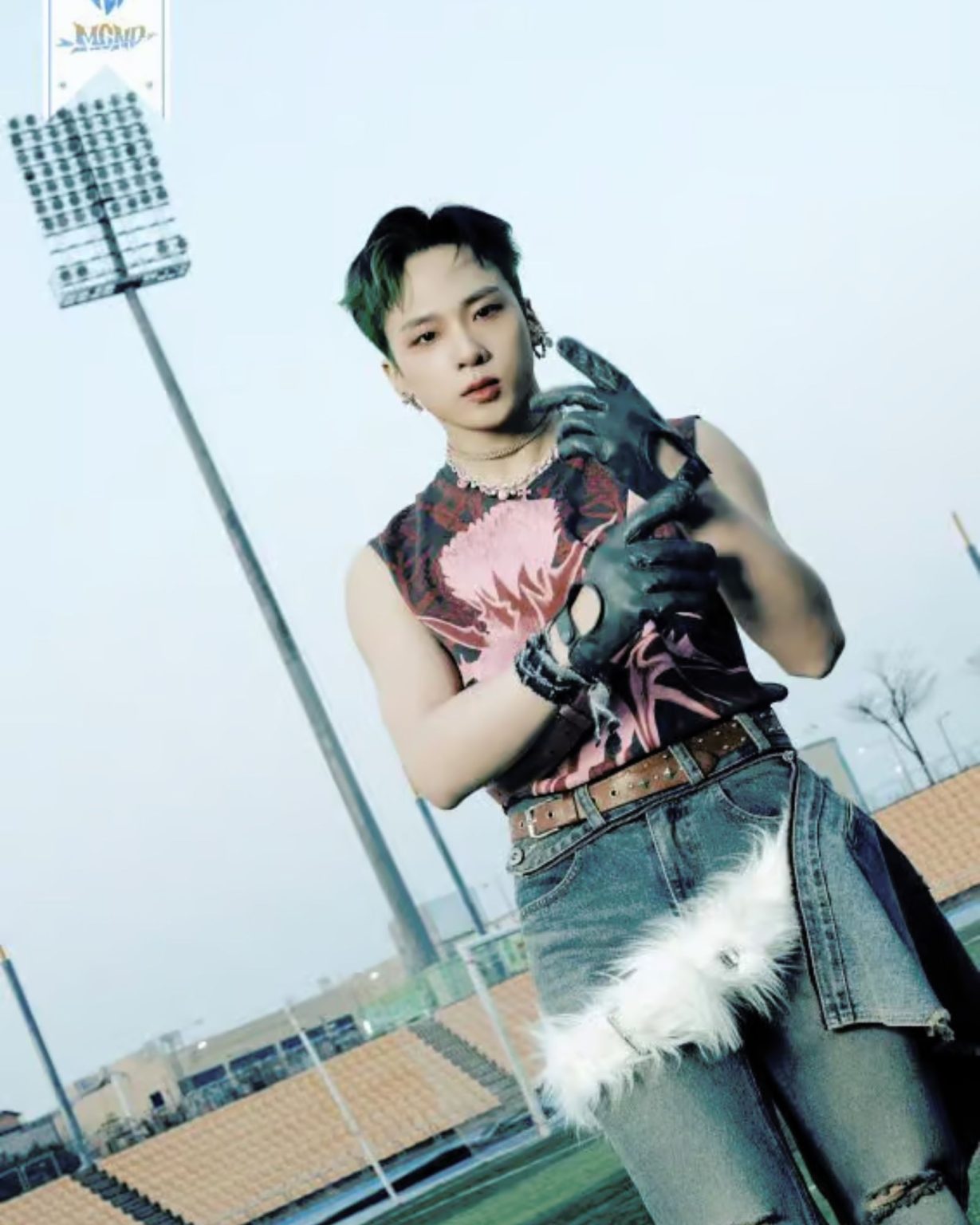 MCND Members Profile, Ages, Heights, & (Updated Facts!)