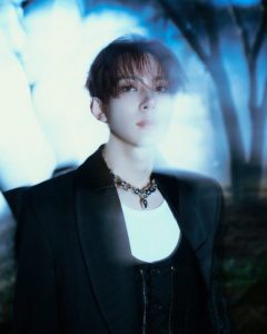 ENHYPEN Members Profile, Ages, Heights, & (Updated Facts!)