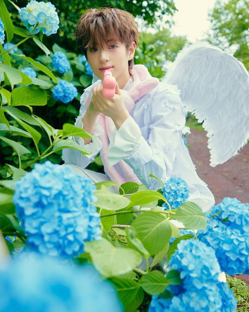 The Wind Members Profile, Ages, Heights, & (Updated Facts!)