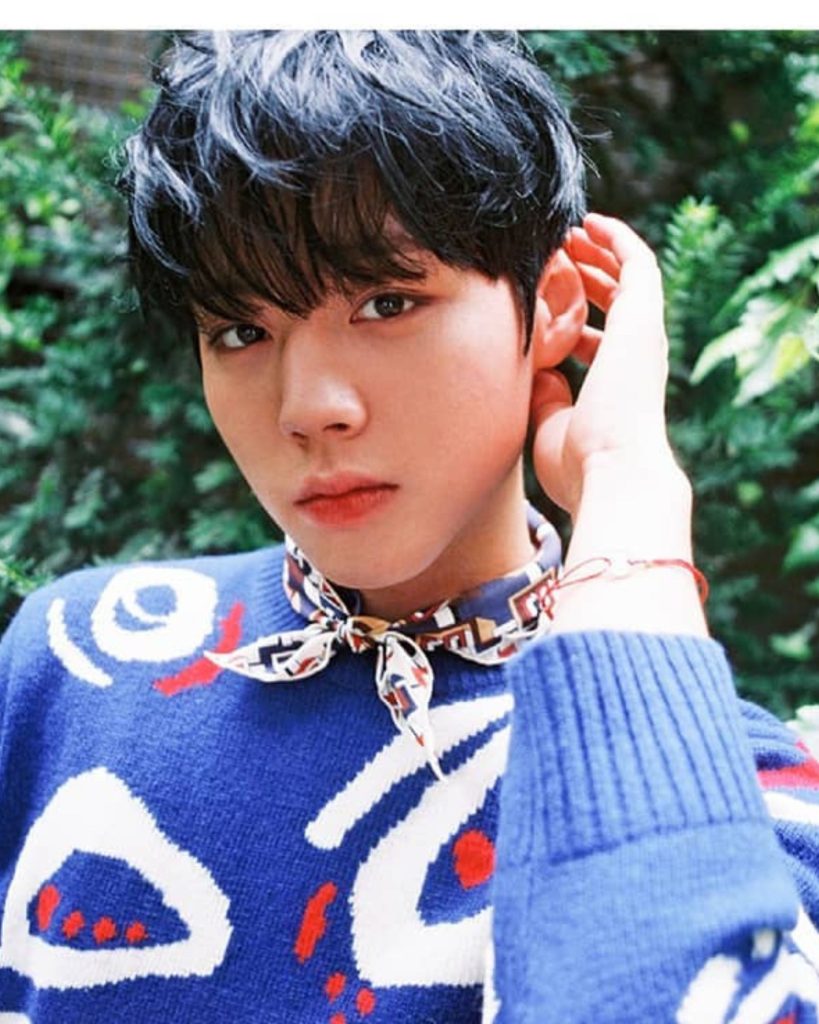 Wanna One Members Profile, Ages, Heights, & (Updated Facts!)