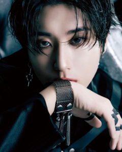Stray Kids Members Profile (Updated Facts!) - Kpop Singers