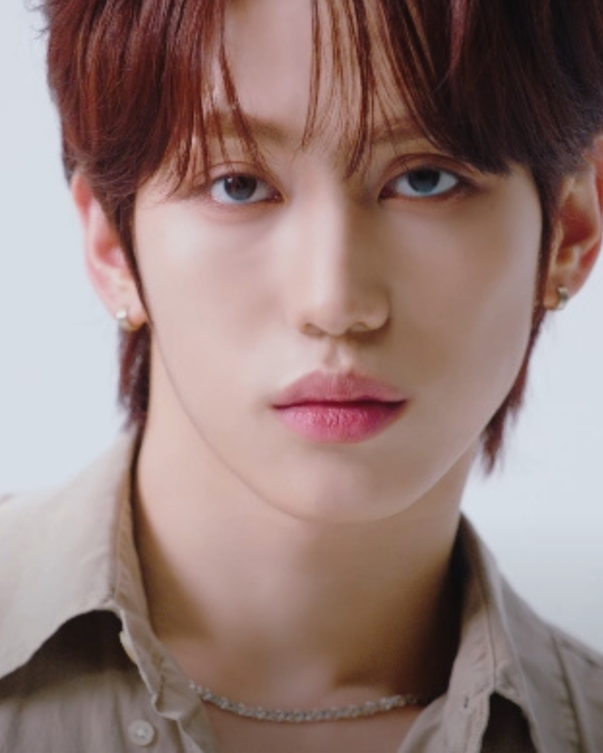 idntt Members Profile, Ages, Heights, & (Updated Facts!)